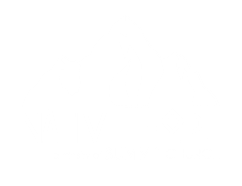Native Hope Ministries | Summit Church